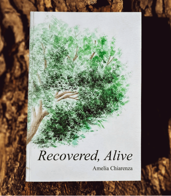 Recovered, Alive – Sticks and Steel